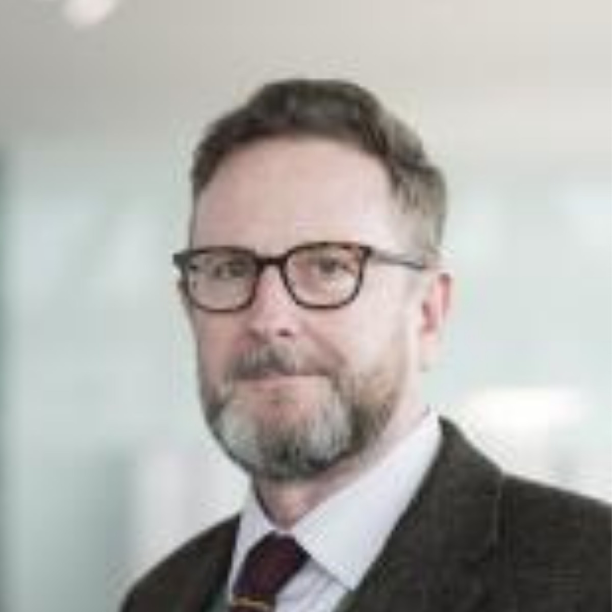 Advisory Group - ICoCA - International Code of Conduct Association