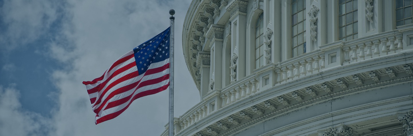 THE UNITED STATES - GOVERNMENT PROFILE - ICoCA - International Code of ...